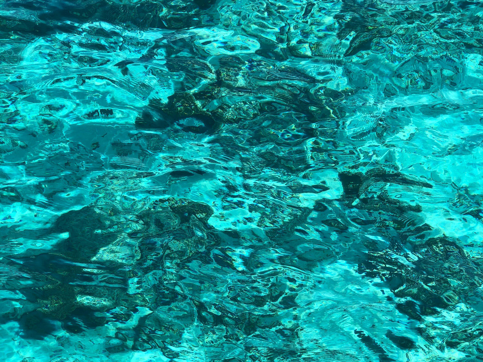 National Water Week series – David Fullerton’s story - Sequana