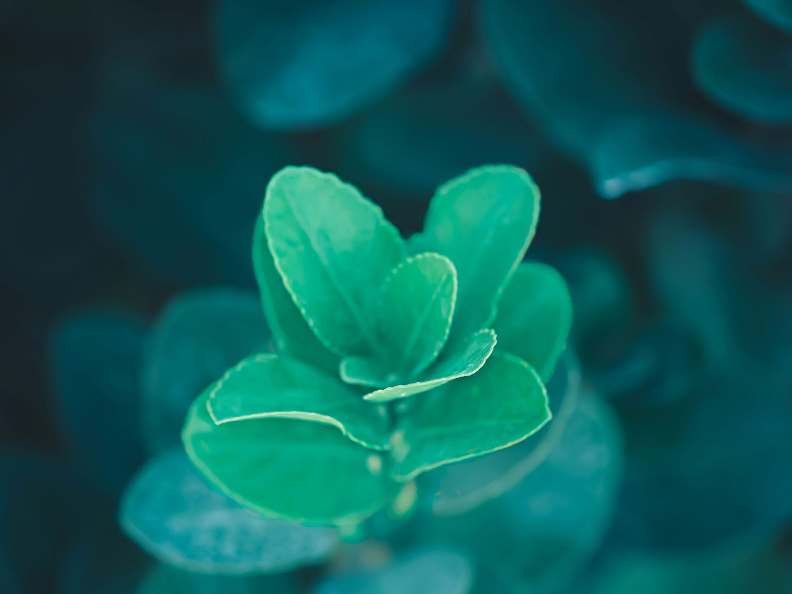 Building a meaningful career at Sequana - Sequana